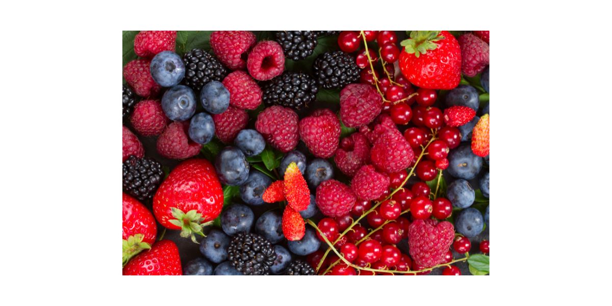 Wash Store and Freeze Berries: The Best Methods – Blissful Foods Plus