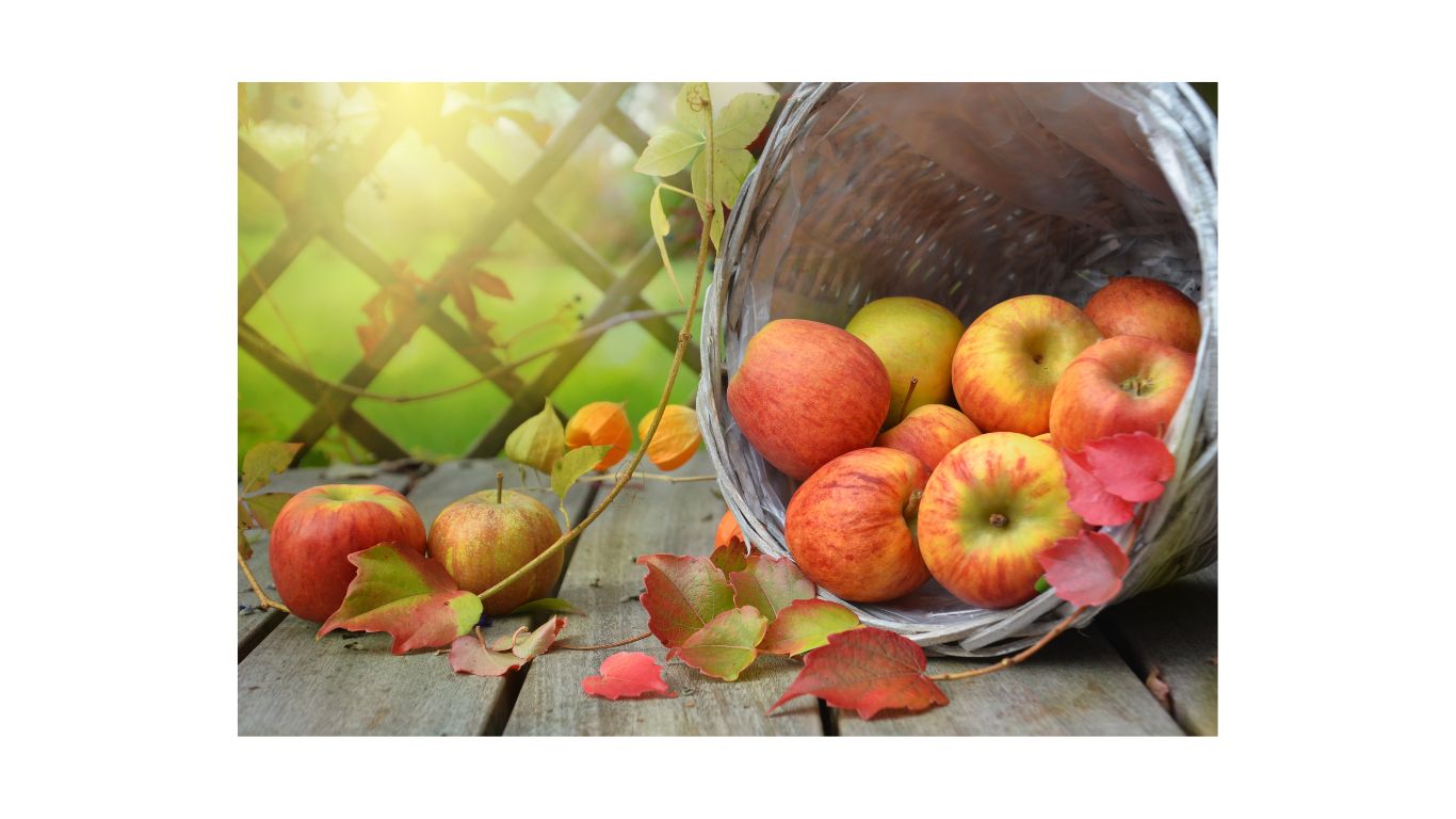 Fall Apple Harvest Must-Try Recipes – Blissful Foods Plus